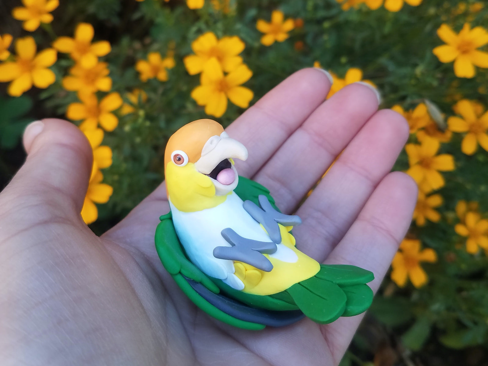 8 Blue Birds